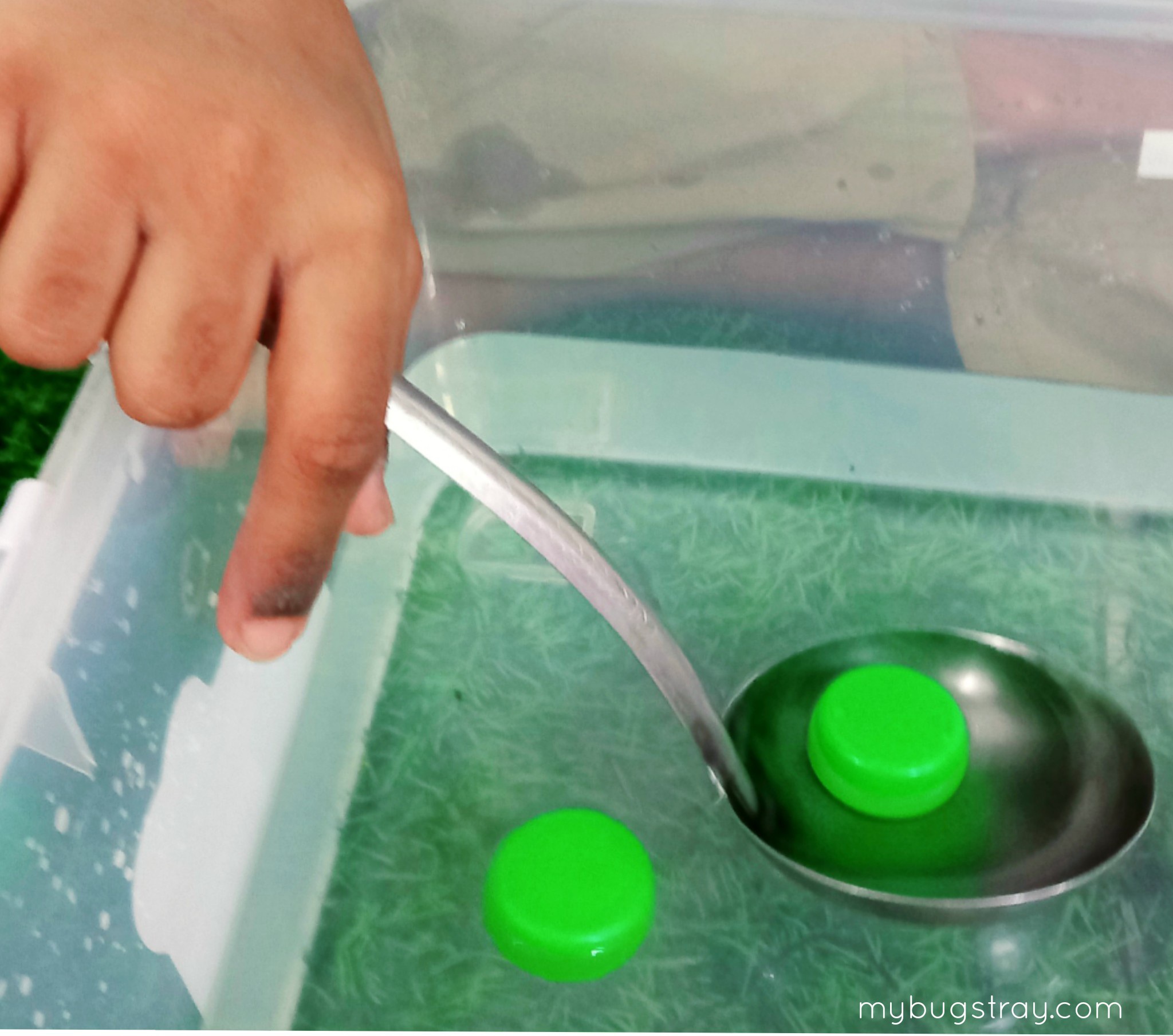 Fine Motor Skills – MY BUGS' TRAY