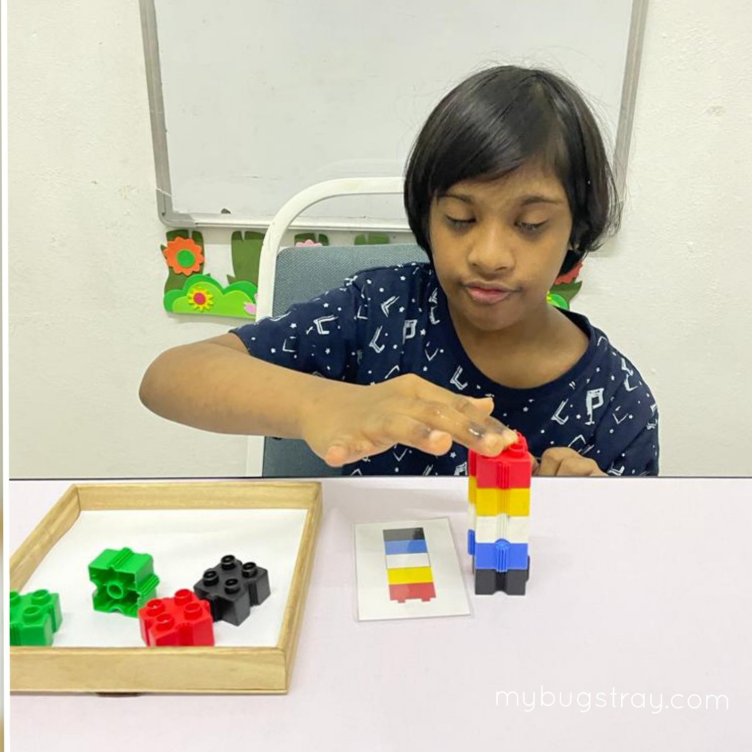 Blogs – MY BUGS' TRAY