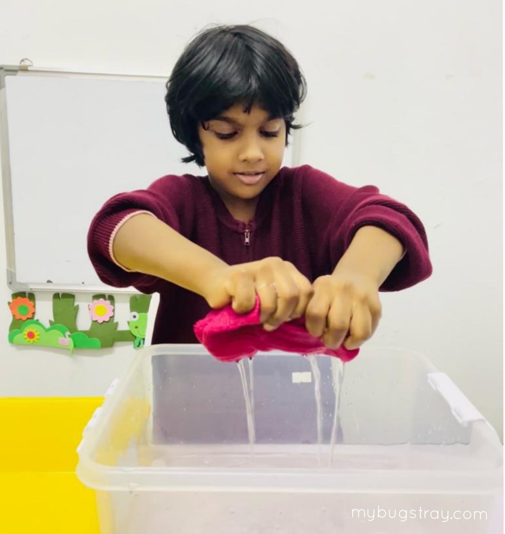 Fine Motor Skills – MY BUGS' TRAY