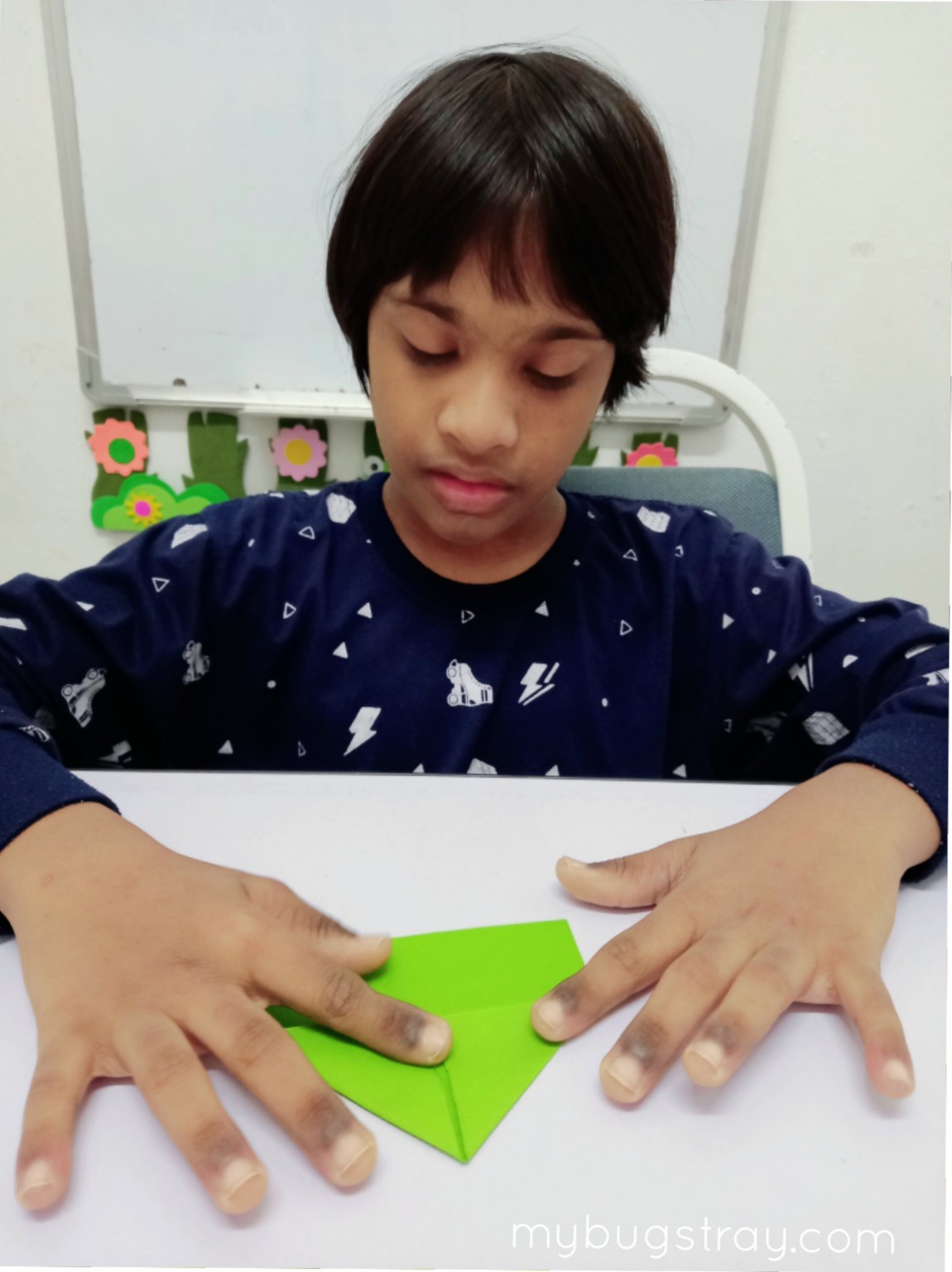 Fine Motor Skills – MY BUGS' TRAY
